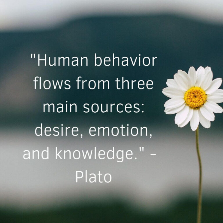 10+ Behavior Quotes for Whatsapp Status