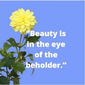 Beauty quotes for Whatsapp Status