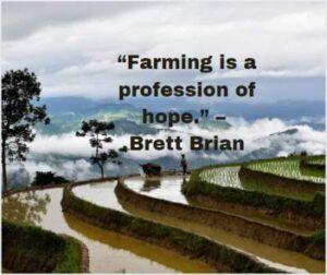 10+ Inspirational quotes about farming