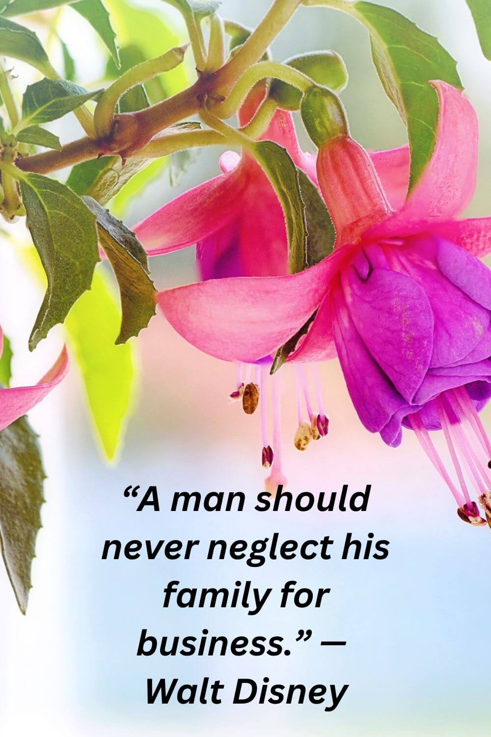 Inspirational Family quotes - dpquotes