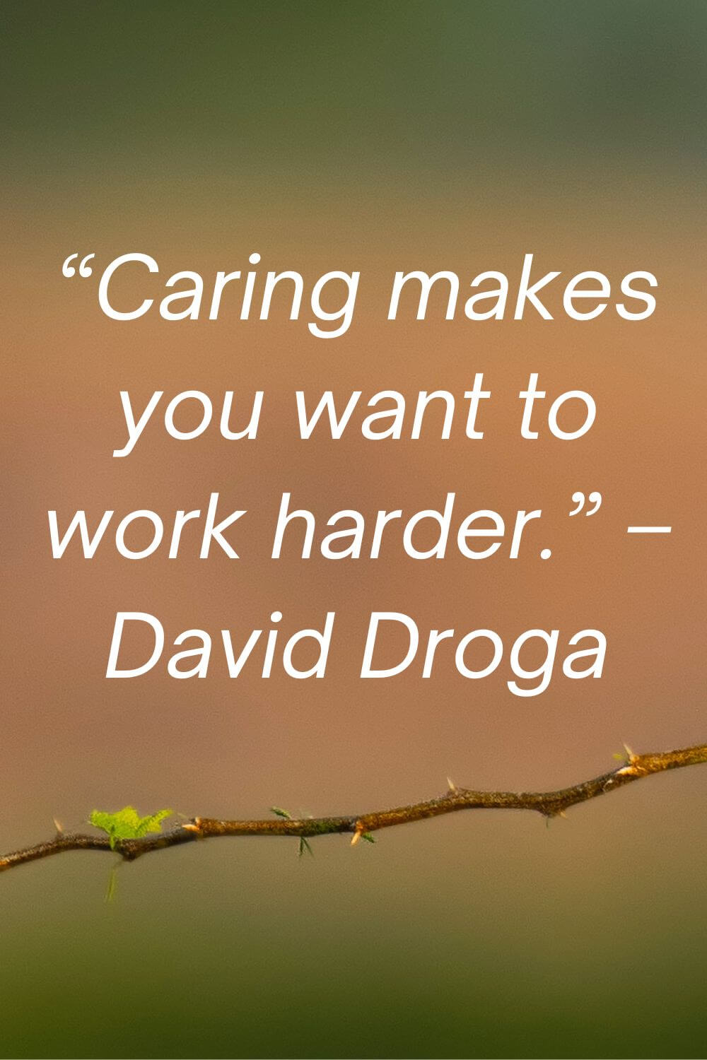 Inspirational caring quotes to share on whatsapp status - dpquotes.com